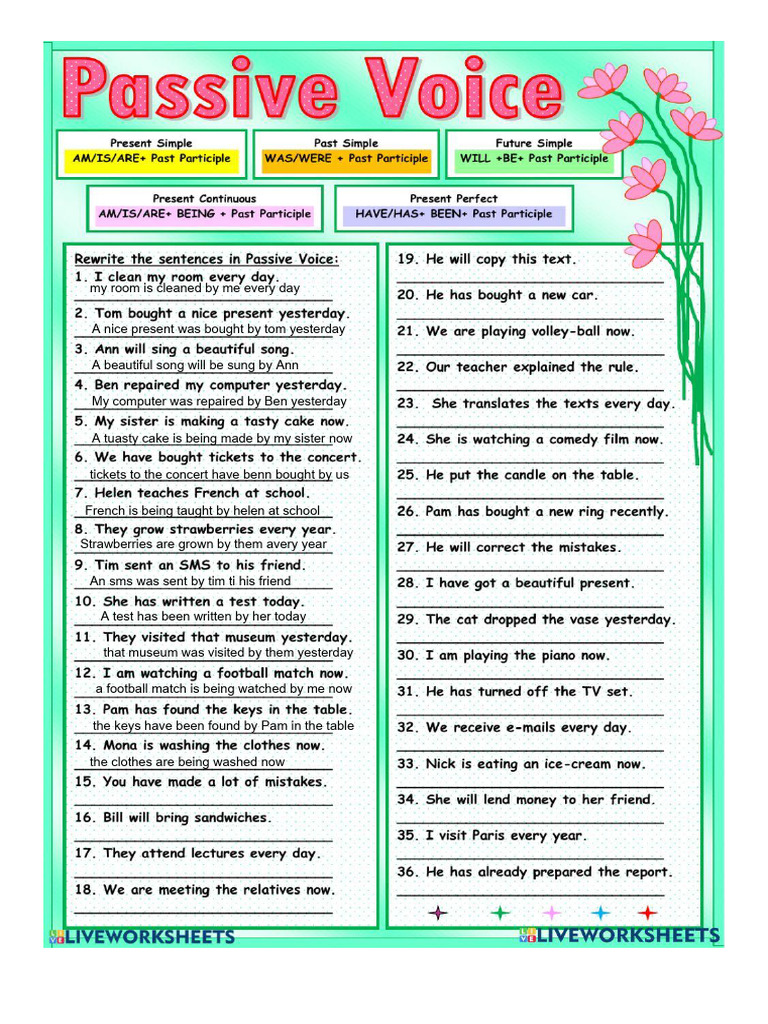 Daily Activities Described in Passive Voice | PDF