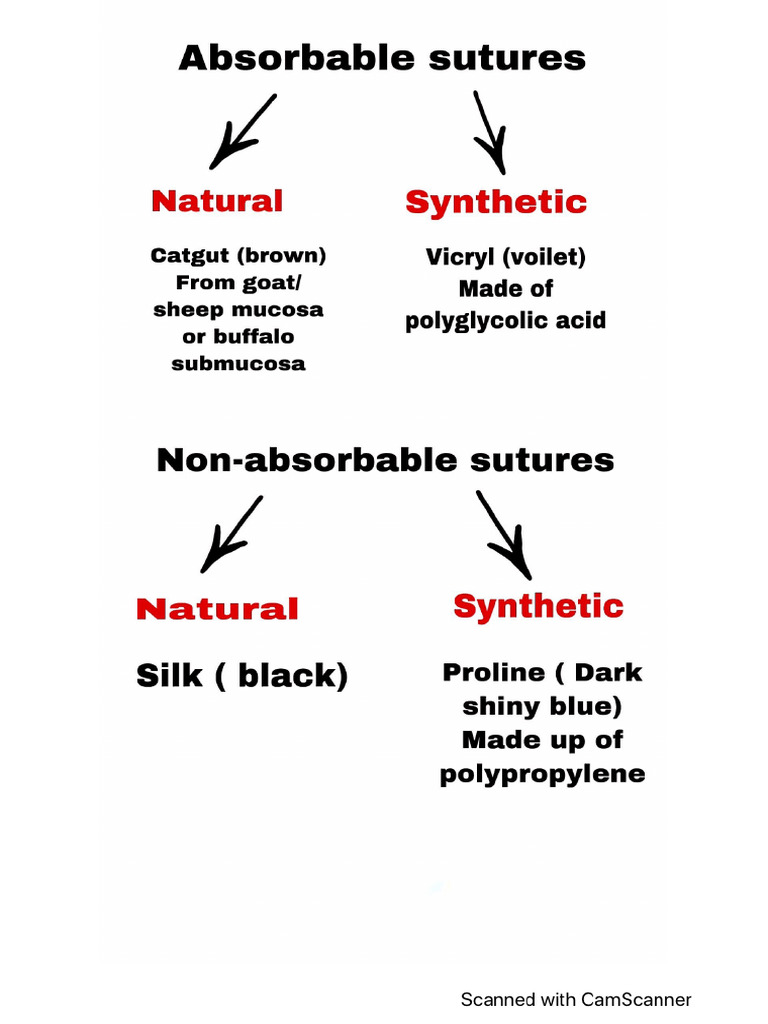 Sutures | PDF