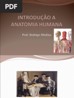 Variações Anatômicas do Seio Transverso | PDF | Seio