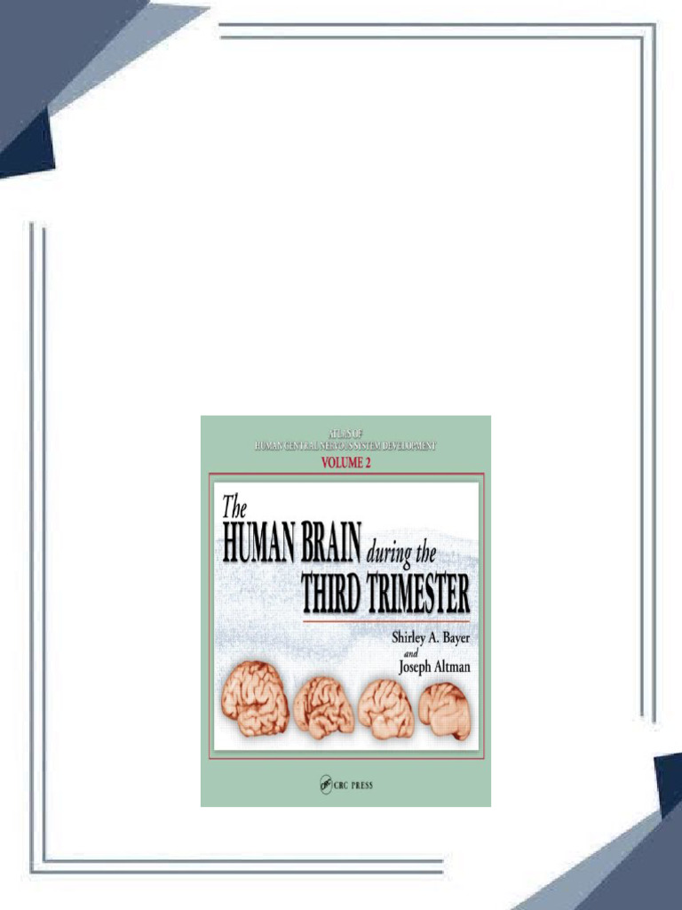 Get Atlas of Human Central Nervous System Development The Human Brain ...