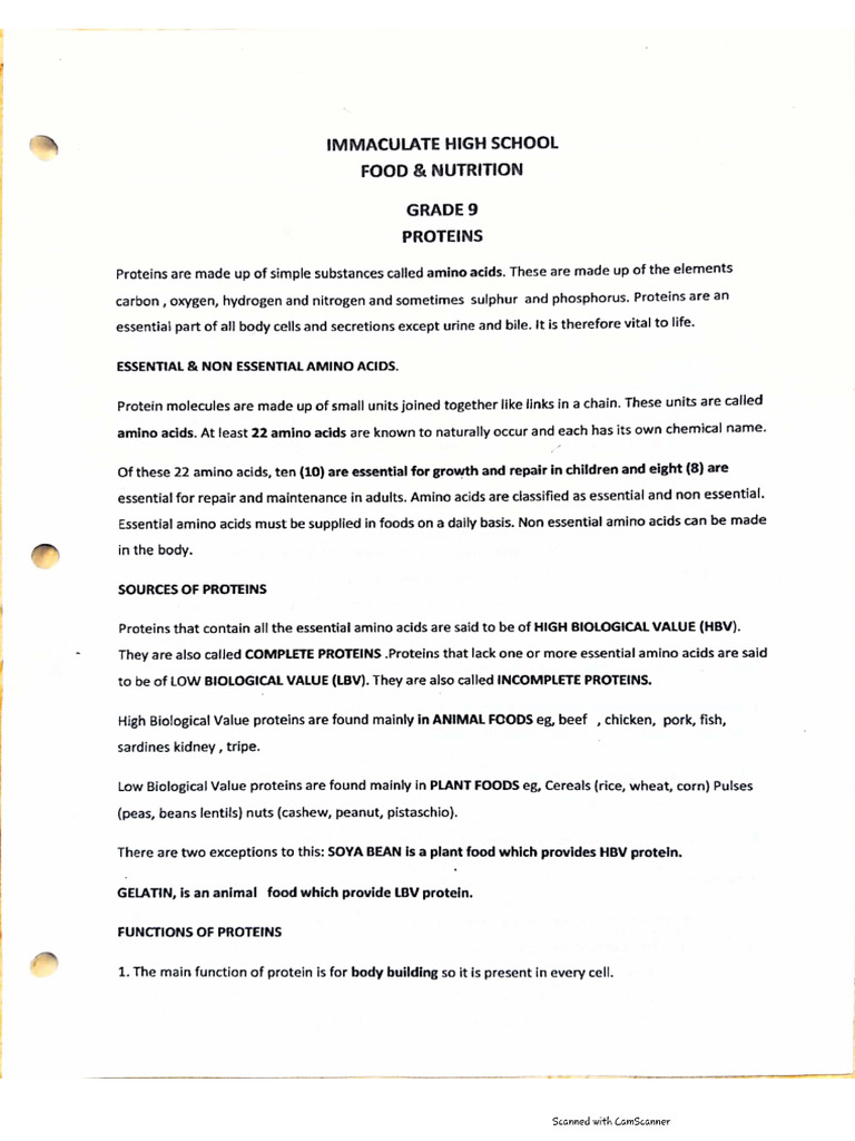 Proteins Handout | PDF