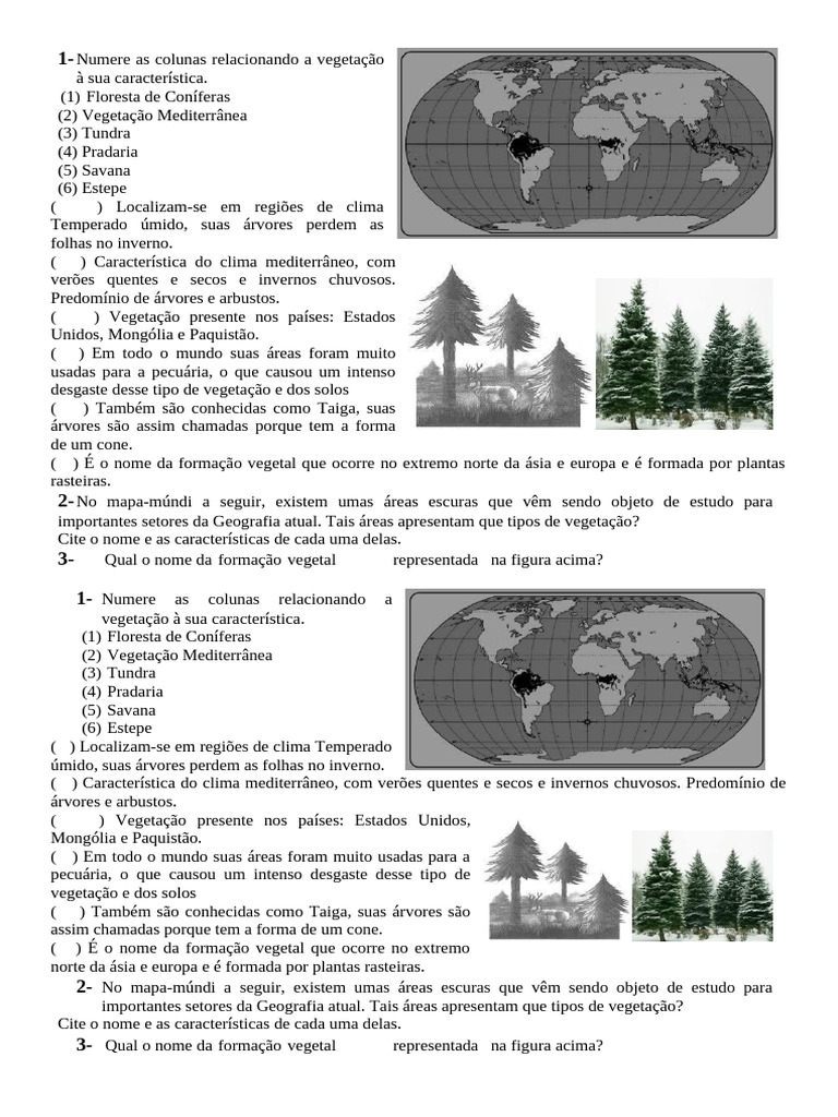 Atividade Vegetacao 19set | PDF