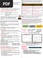Class 10 Heredity | PDF | Dominance (Genetics) | Genetics