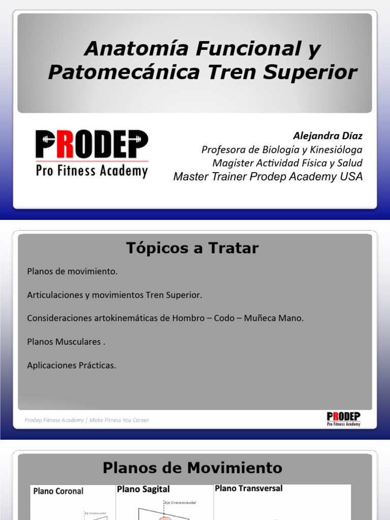 Clase 1 Antomia Funcional EESS y Patomecanica | PDF | Codo | Sistema musculoesquelético