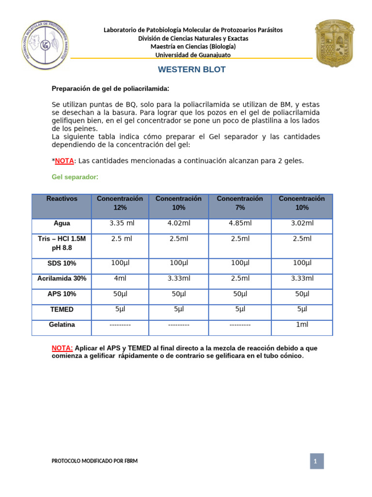 Protocolo Western Blot en Protozoarios | PDF | Sustancias químicas