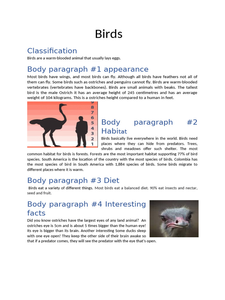 Overview of Birds: Traits and Habitats | PDF