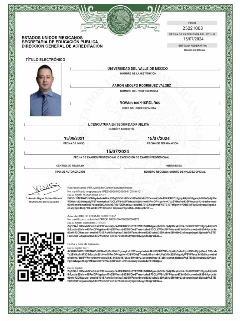 Titulo Electrónico | PDF