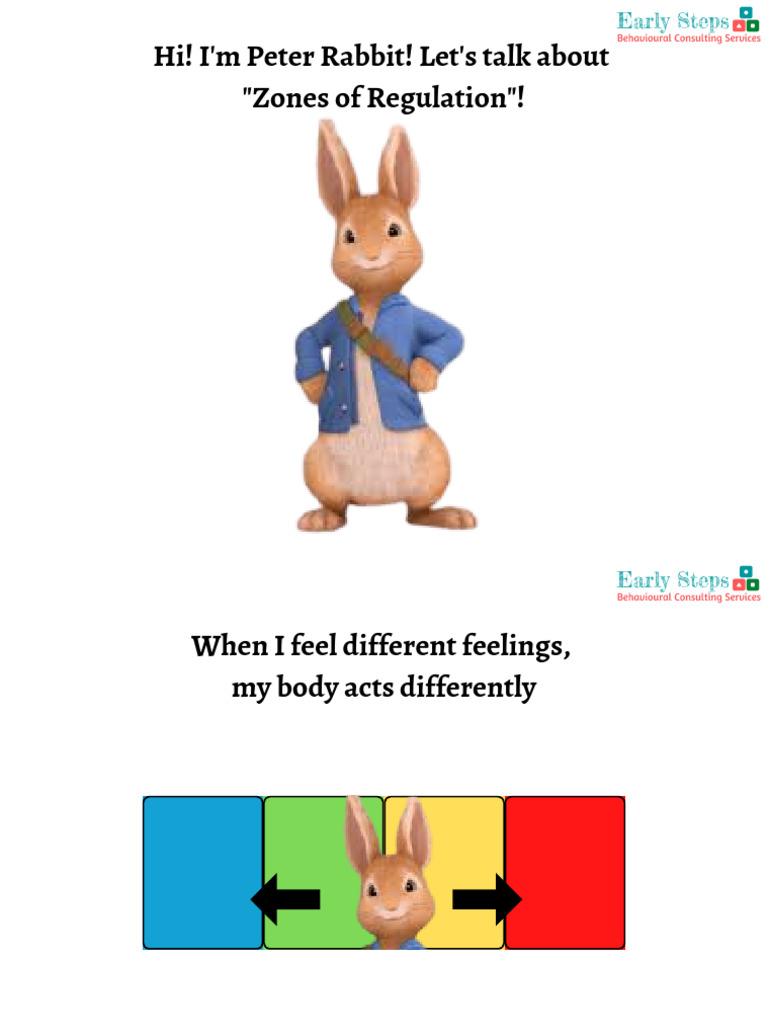 Zones of Regulation - Social Story | PDF