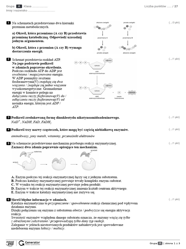 Na Schematach Przedstawiono Dwa Kierunki Przemian Metabolicznych. | PDF
