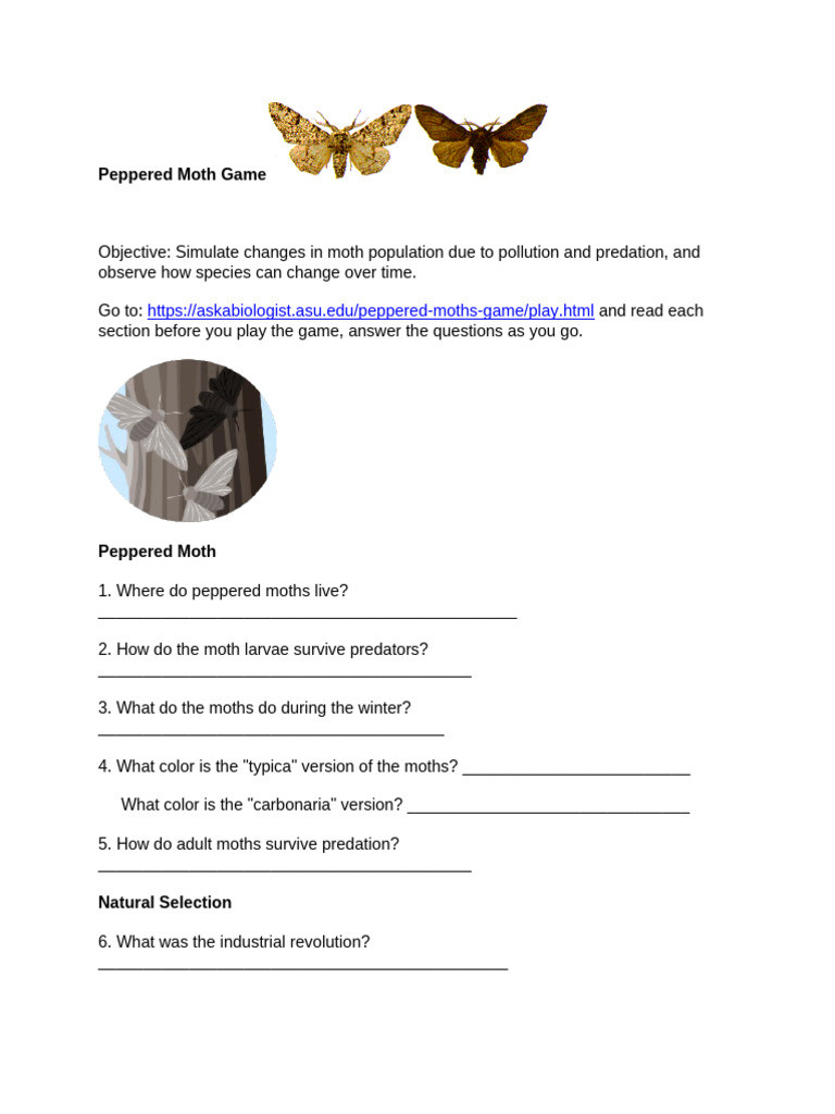 Peppered Moth Game | PDF