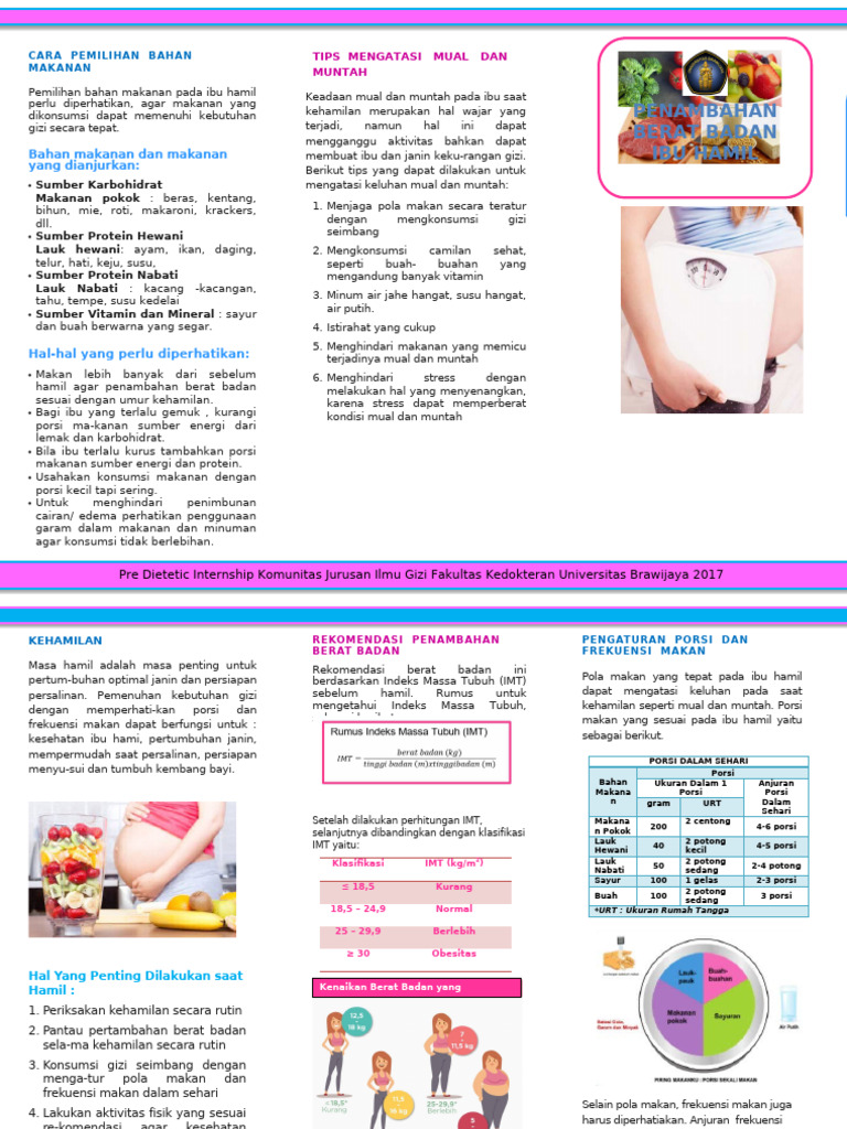 Media 1 - Leaflet Bumil | PDF