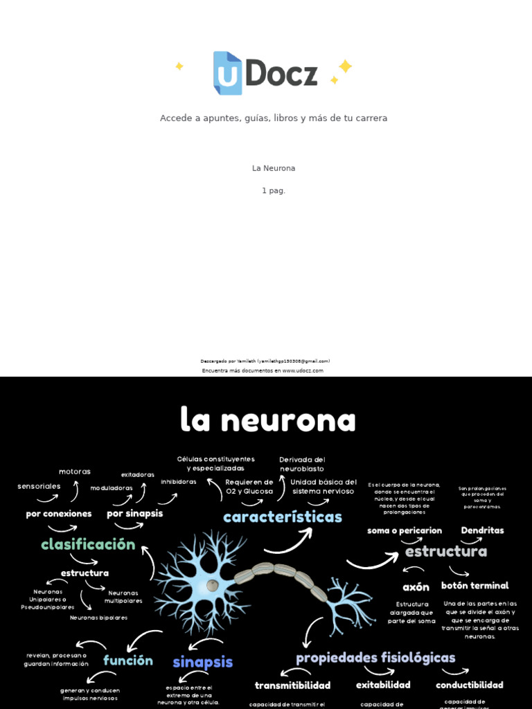Características y Funciones de las Neuronas | PDF | Neurona | Sinapsis