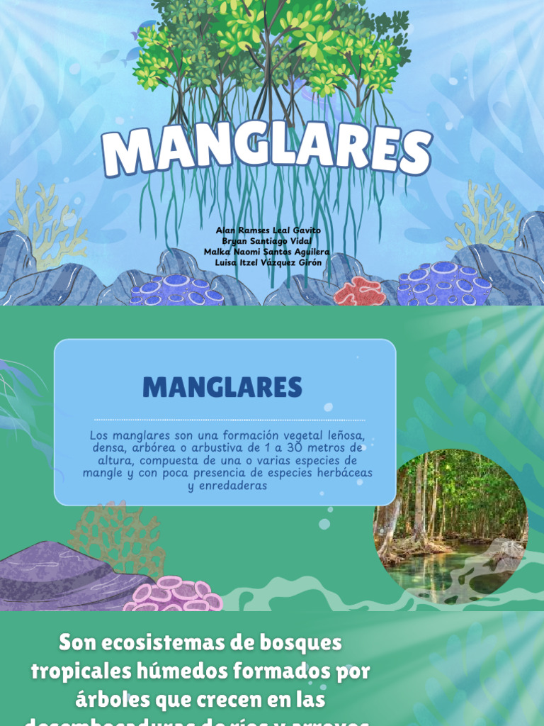 Blue Illustrative Save The Ocean Presentation PDF | PDF | Agua | Mangle