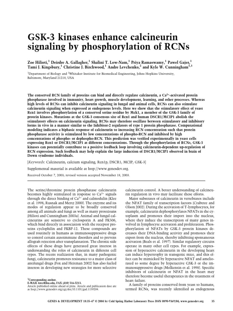 GSK-3 Kinases Enhance Calcineurin Signaling by Phophorylation of RCNs ...
