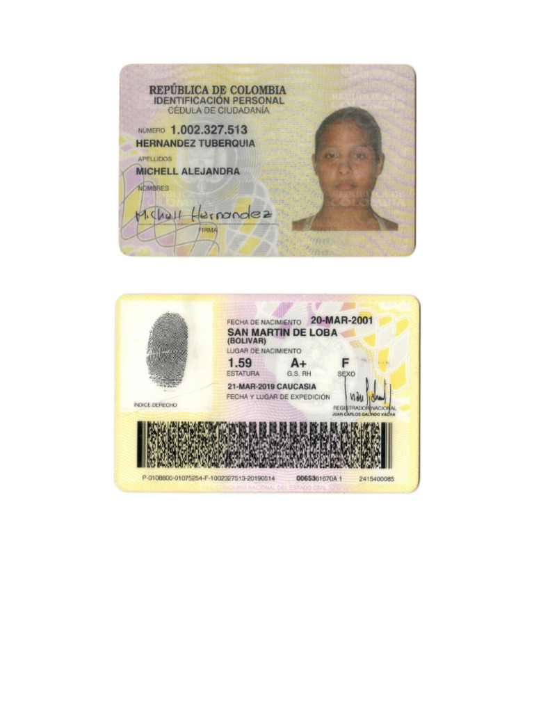 CC Michell Hernandez | PDF