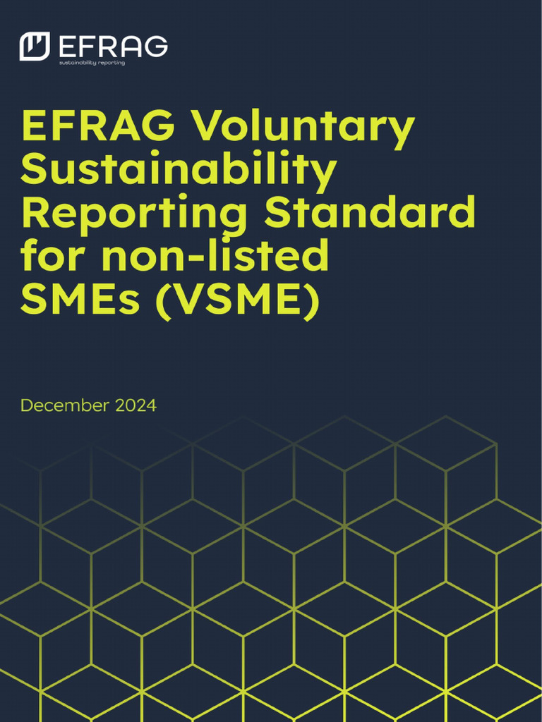 VSME Standard | PDF