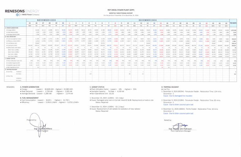 REP DPP Monthly Monitoring Report - December 2024 | PDF
