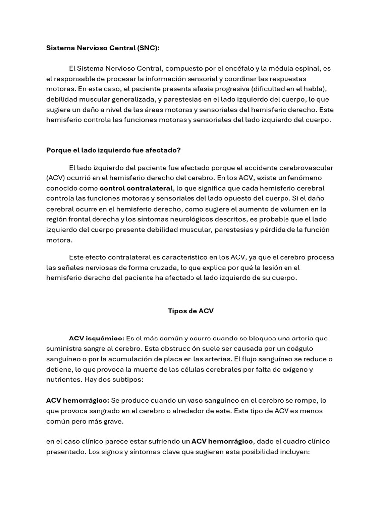 Informe Anatomia (Paciente Con ACV) | PDF | Médula espinal | Carrera