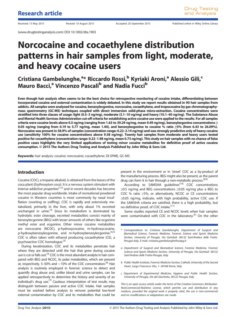 2015 Cocaethylene hair_Gambelunghe | PDF | Cocaine | Drug Test