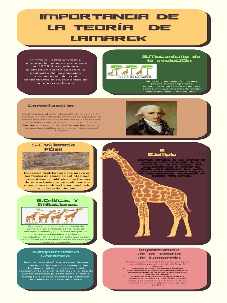 Structural Adaptations Science Educational Infographic in Yellow Green ...