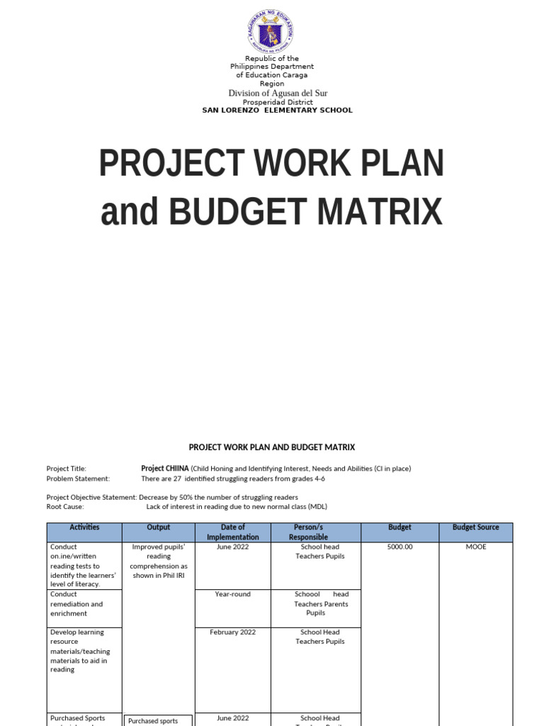 Project WorkPlan and Budget Matrix | PDF | Teachers | Literacy