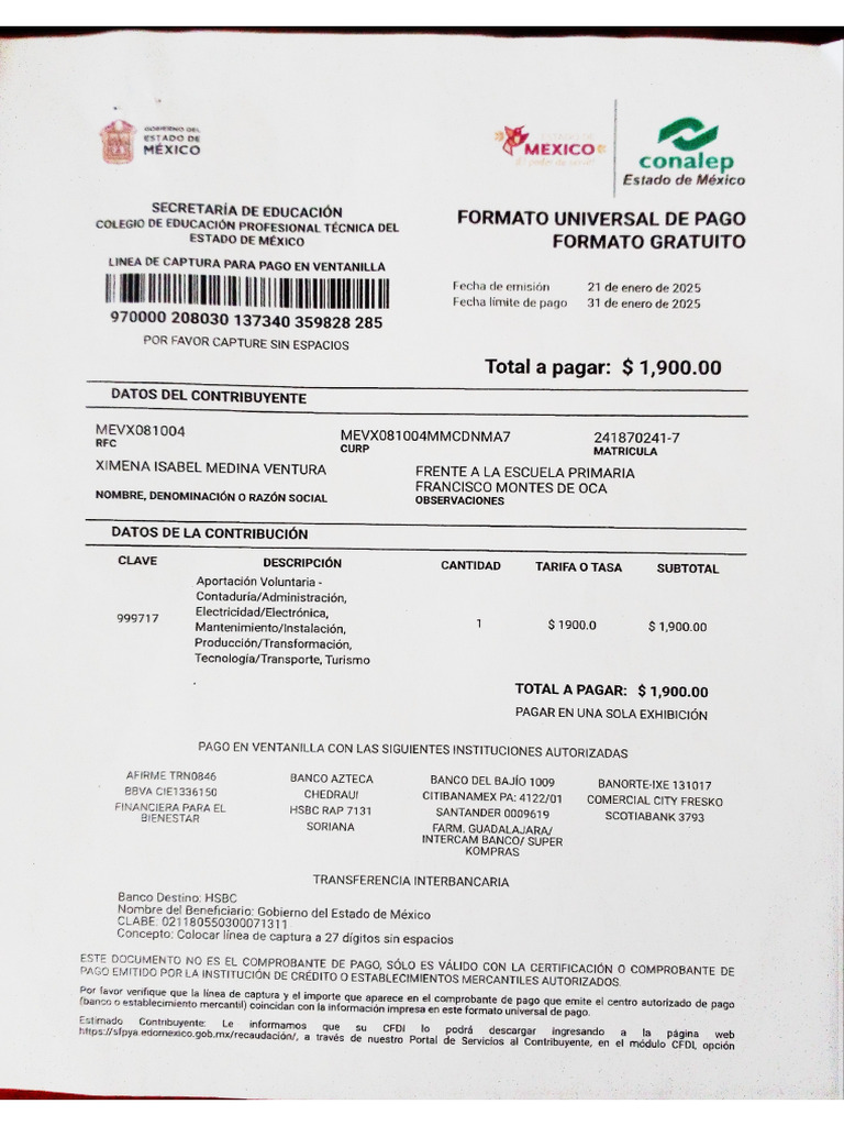 Formato Universal de Pago | PDF