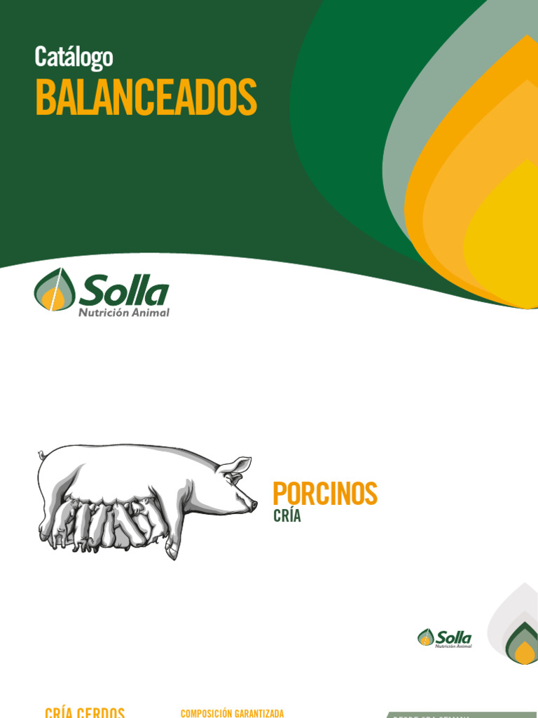 Catálogo de Balanceados para Cerdos | PDF | Cerdo | Alimentos