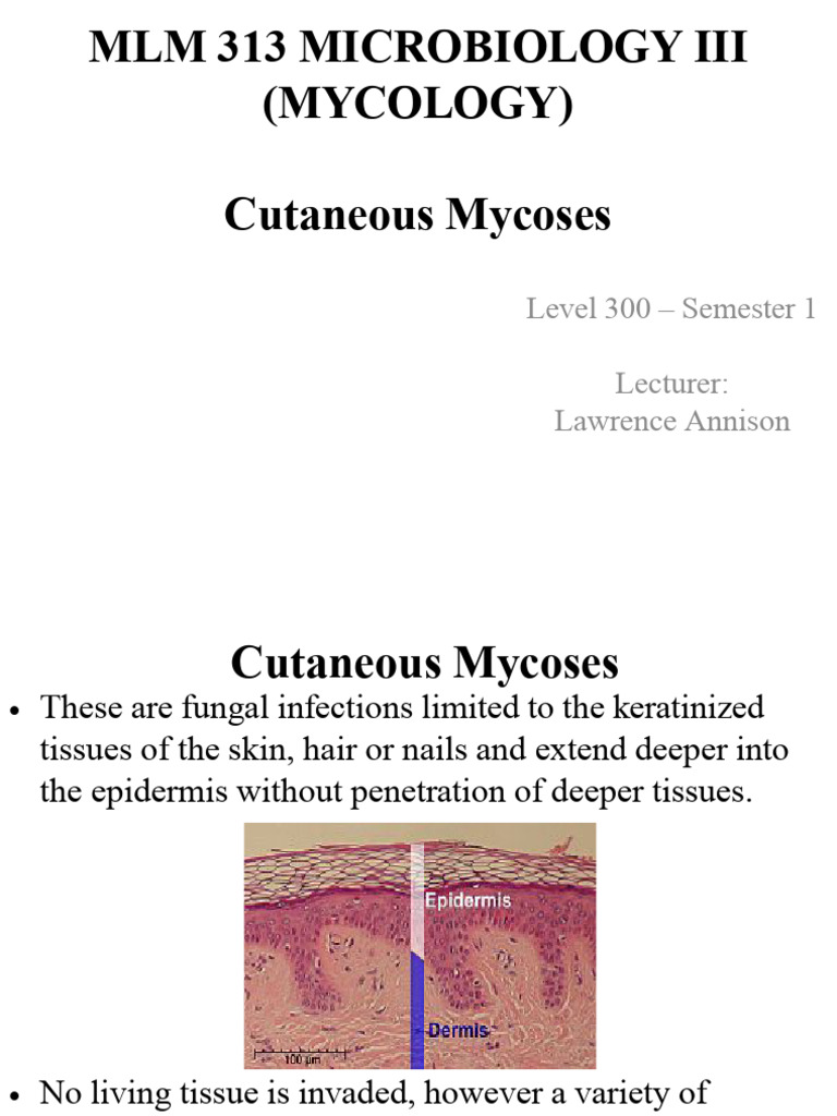 Overview of Cutaneous Mycoses | PDF | Mycology | Fungus