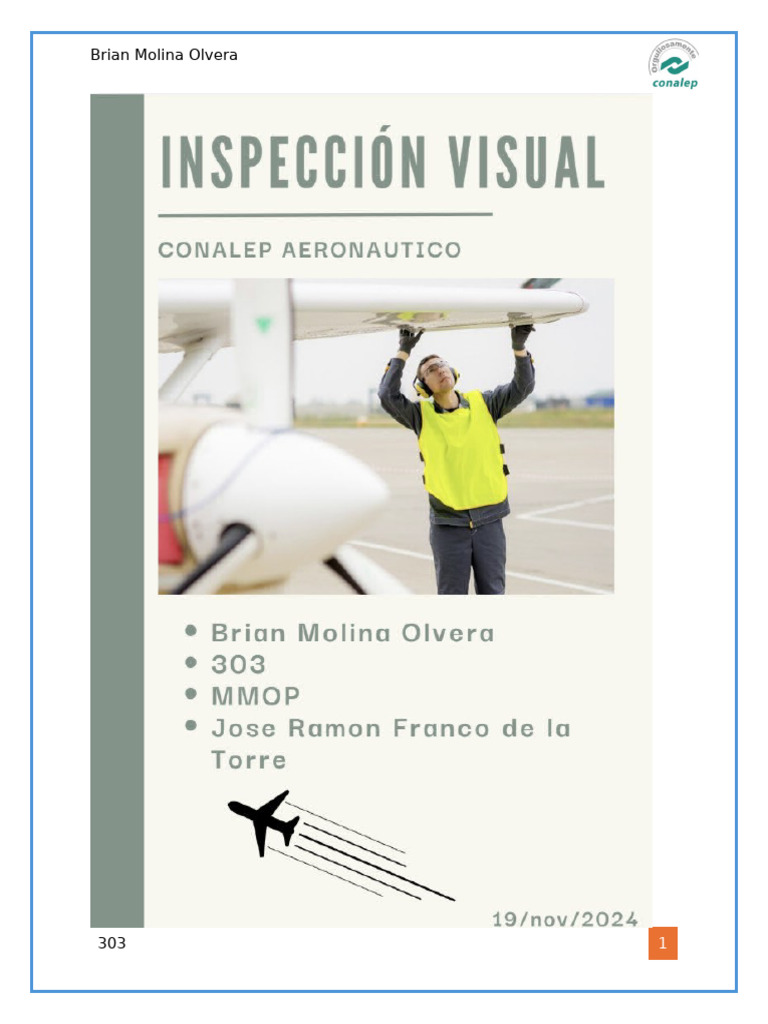 Inspección Visual en Aeronáutica: Guía Esencial | PDF | Pruebas no ...