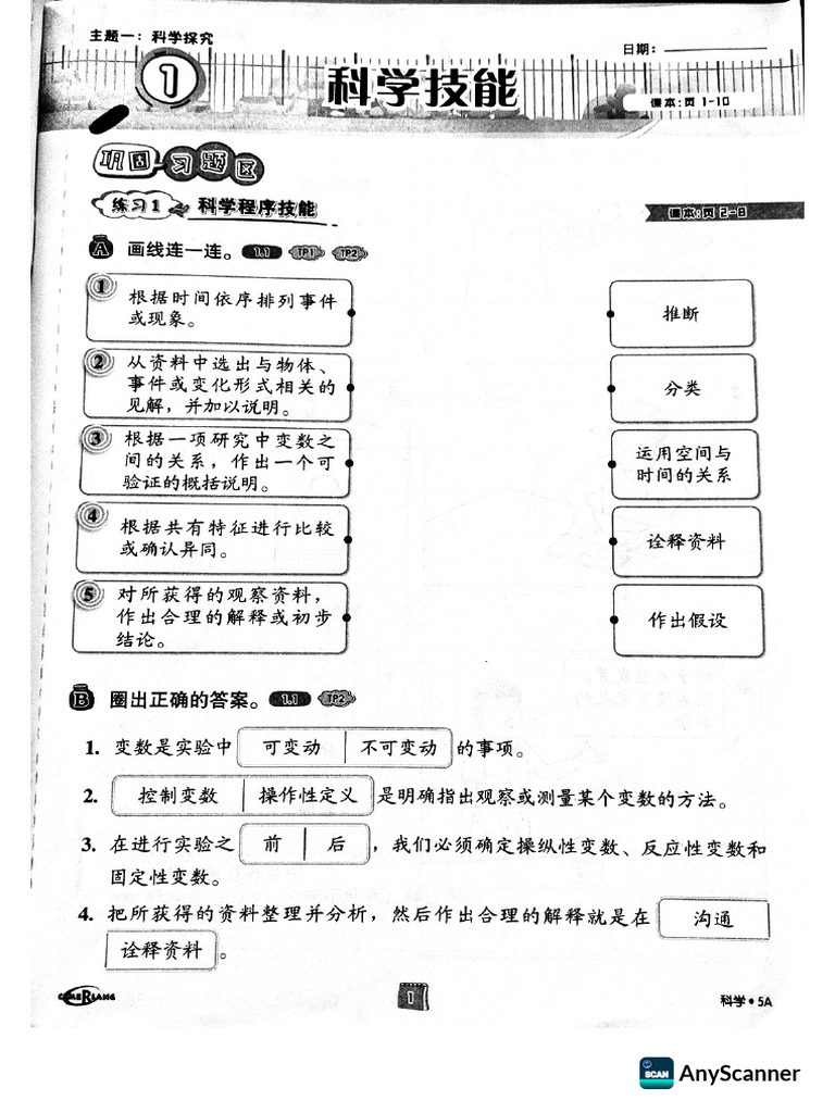 Y5 SN Unit 1 AB | PDF