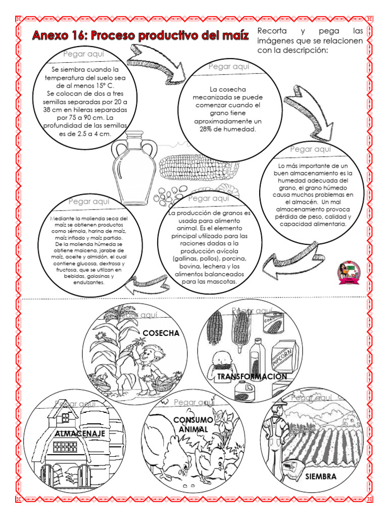 5° S23 y 24 Cuadernillo de Actividades (Anexos) Profa Kempis (Arrastrado) | PDF | Glucosa | Maíz