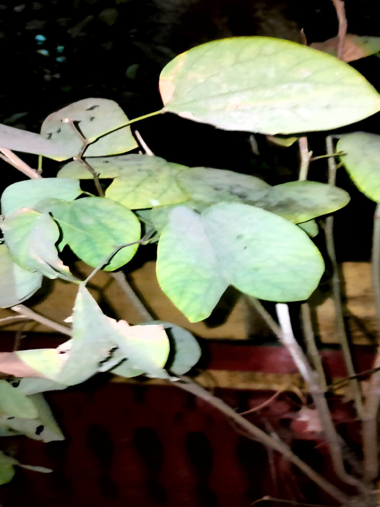 Oswaal Books: Learning Made Simple | PDF