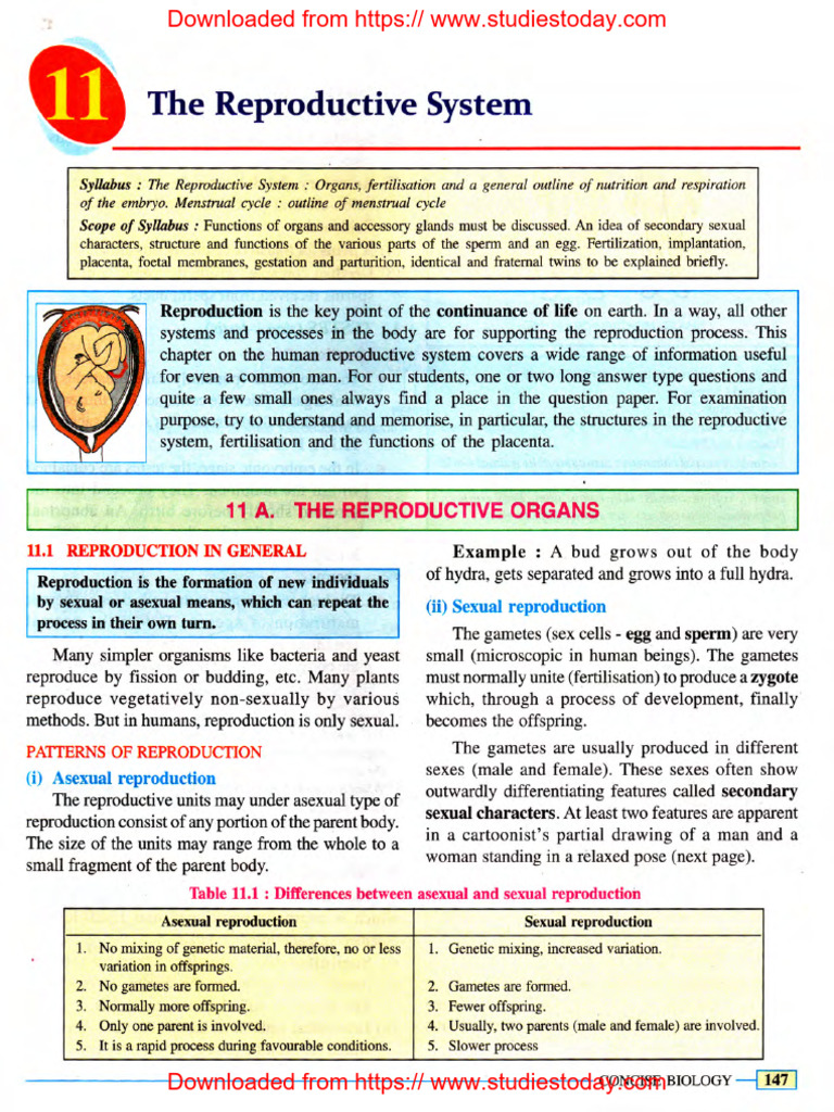 ICSE Class 10 Selina Biology Chapter 11 The Reproductive System | PDF