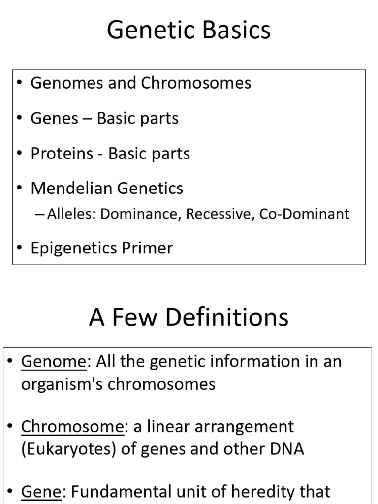 DG Lecture 1 2025 Genetics Basics | PDF | Dominance (Genetics) | Genotype