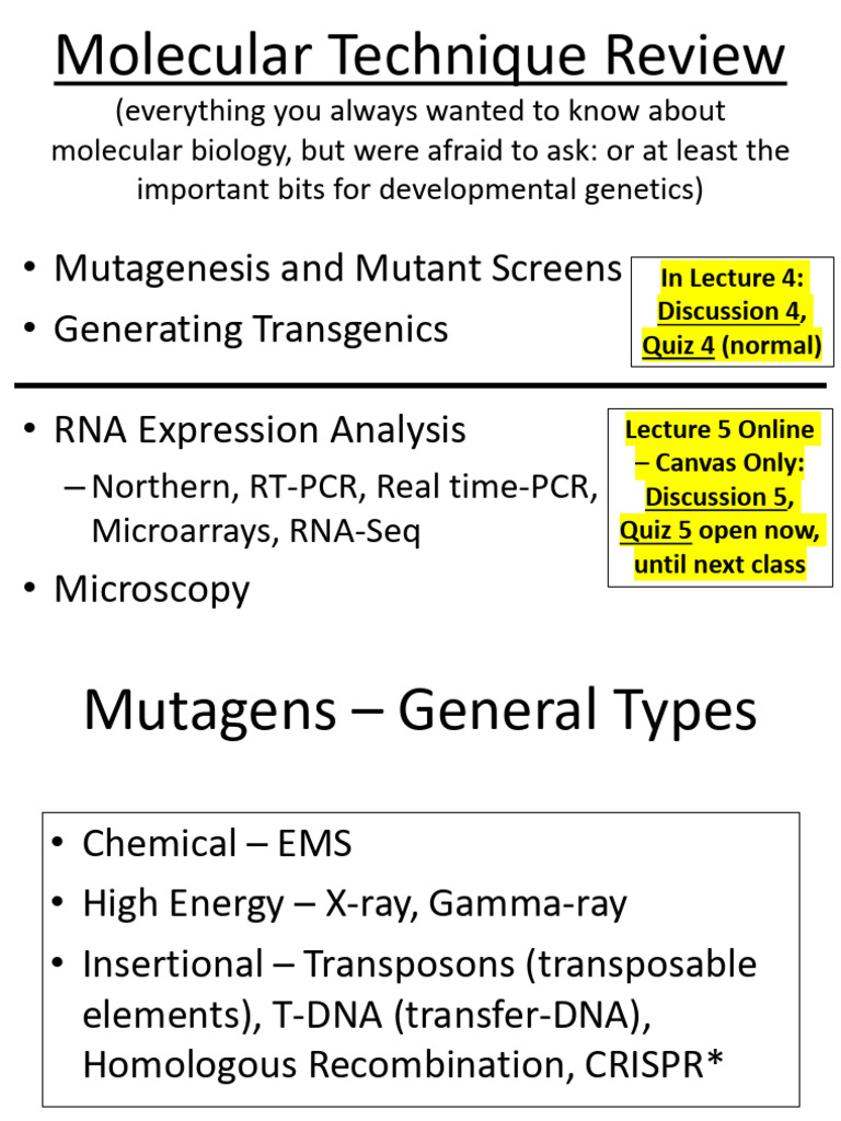 DG Lecture 4 Molecular Technique Overview 2025 | PDF | Mutation | Crispr
