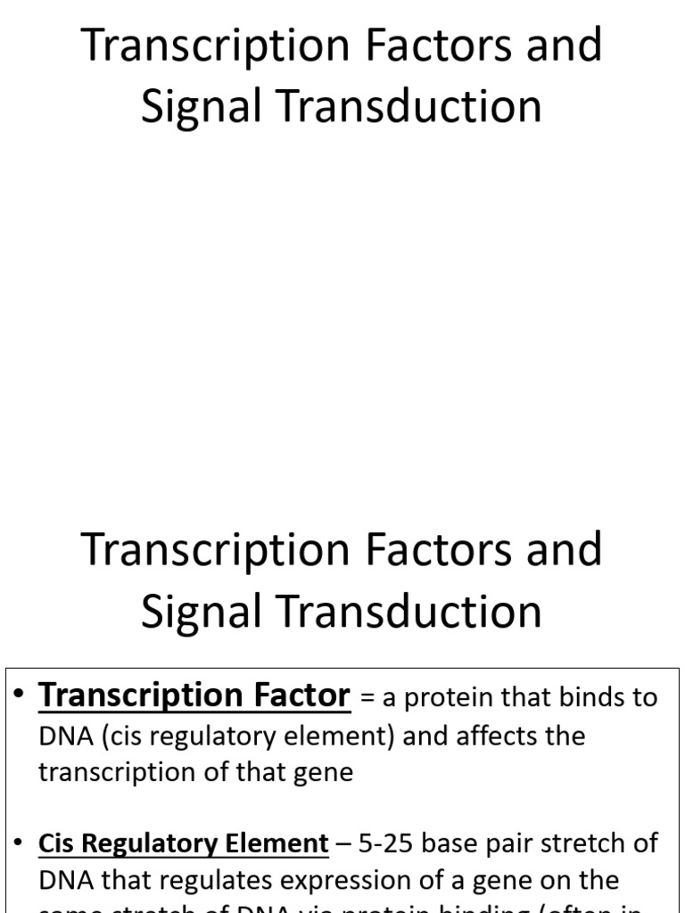 DG Lecture 6 Transcription Factors 2025 | PDF | Signal Transduction ...