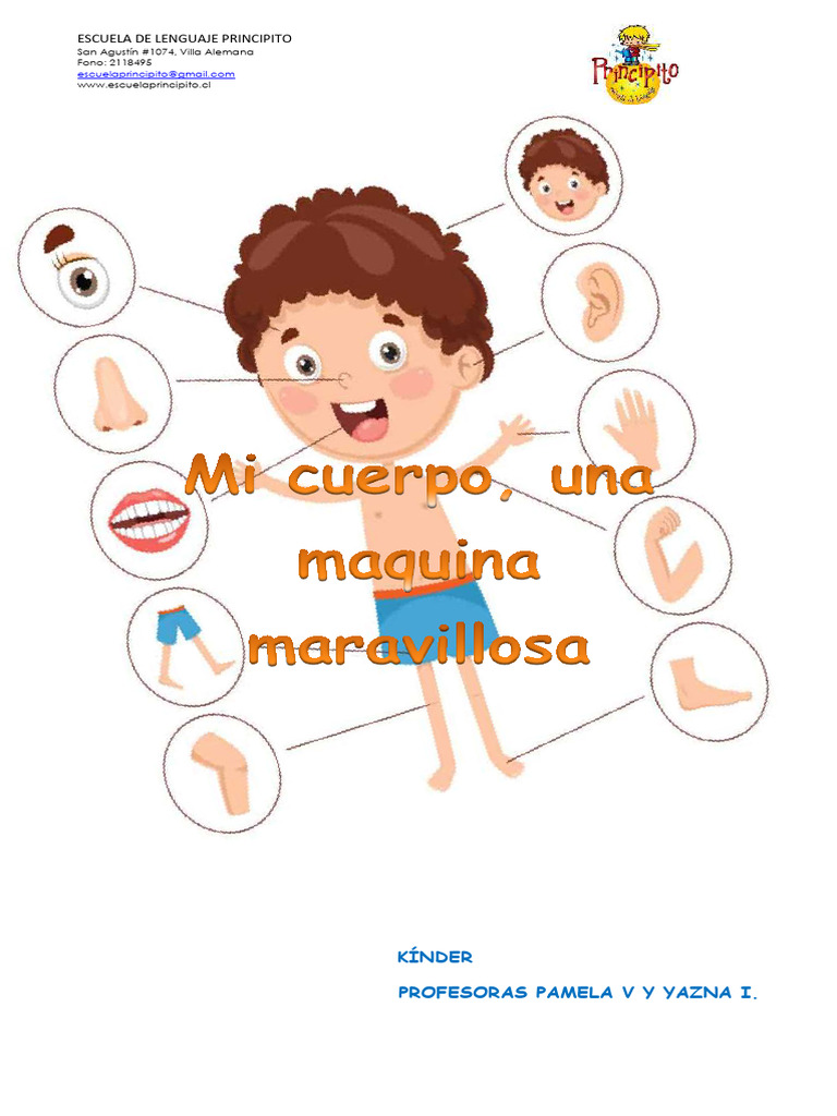 Guía Kínder: Mi Cuerpo Maravilloso | PDF