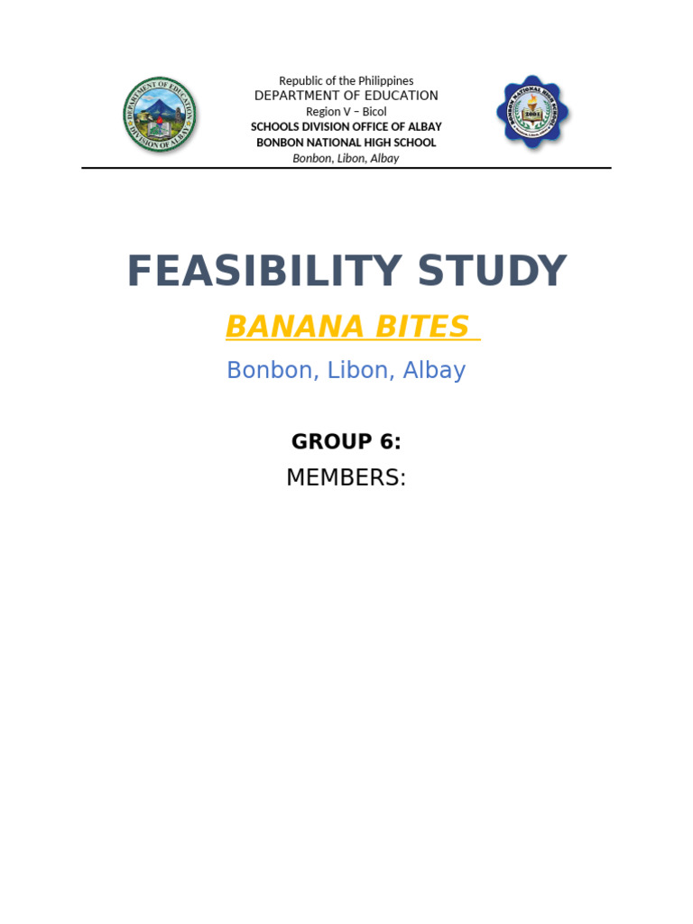 FEASIBILITY STUDY | PDF