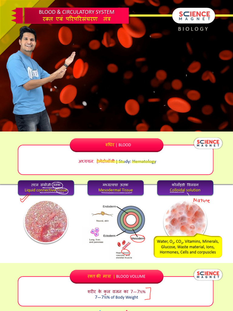 Blood & Circulatory System: Biology | PDF
