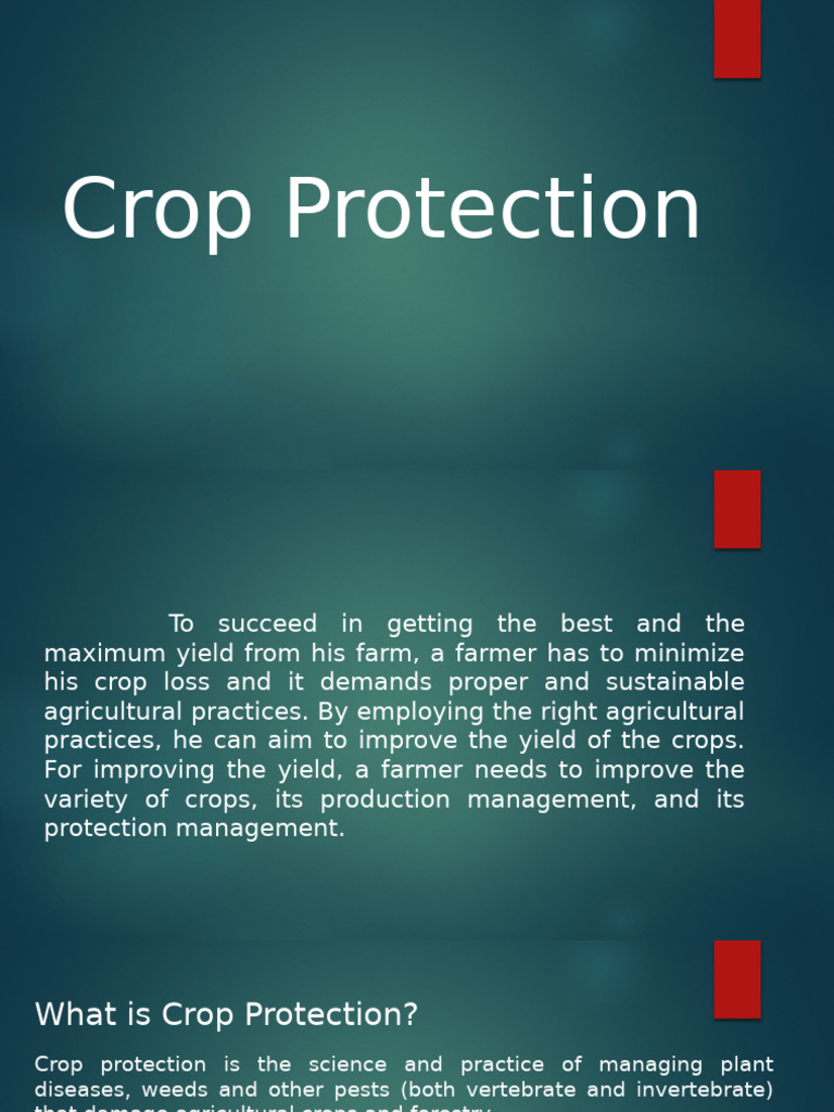 Crop Protection | PDF