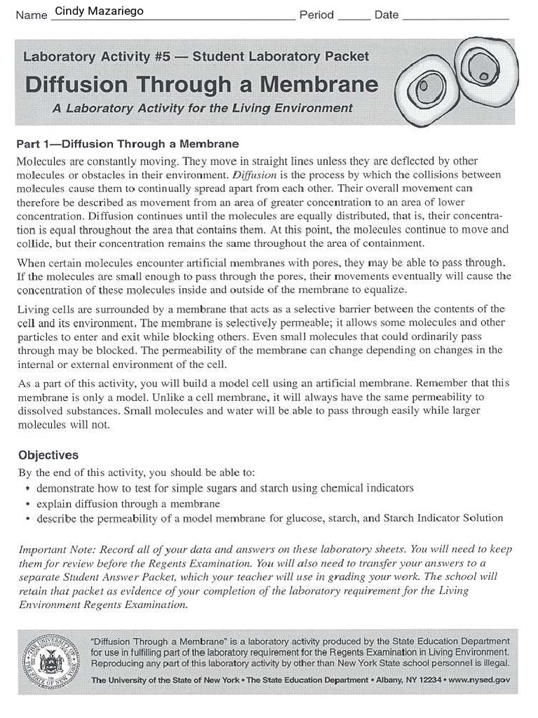 Diffusion Through A Membrane STATE LAB Answer Packet | PDF | Osmosis ...