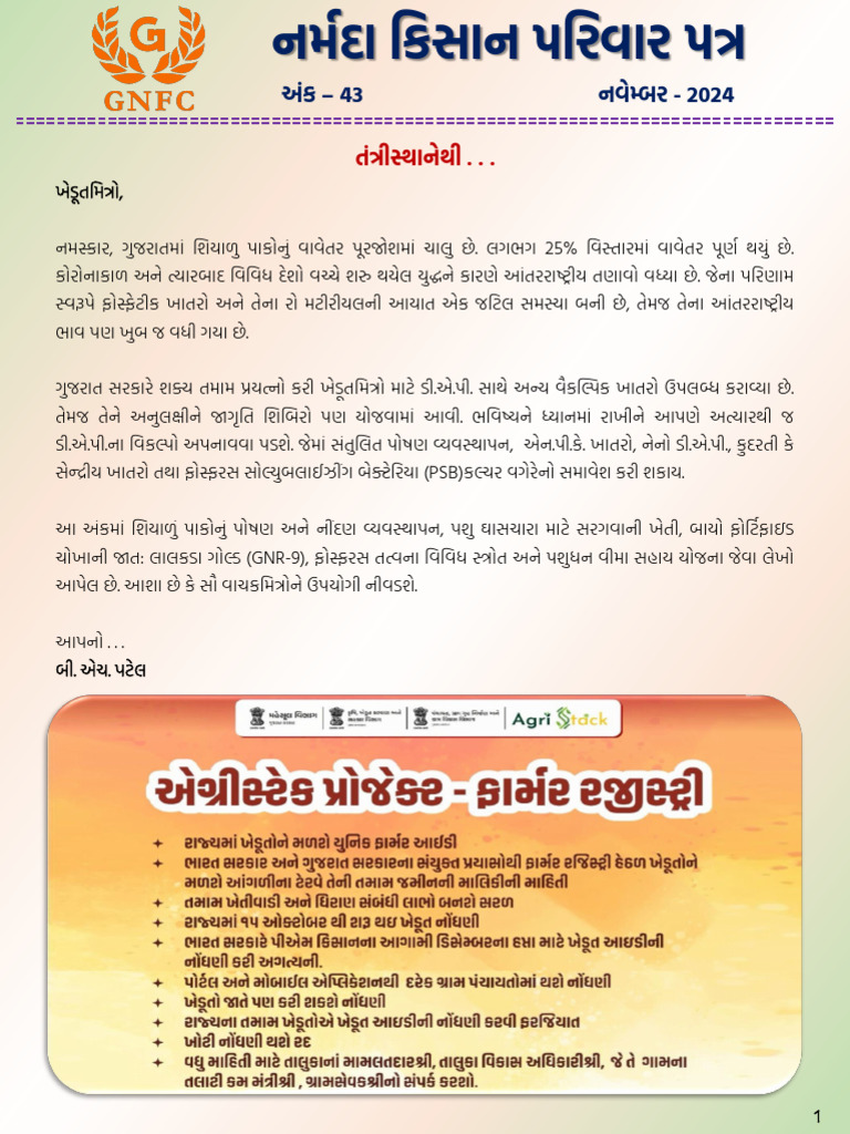 Nkpp 43 November 2024 Final | PDF