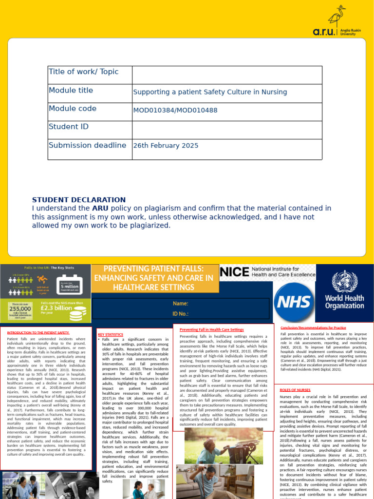 Nursing's Role in Fall Prevention | PDF | Patient Safety | Nursing