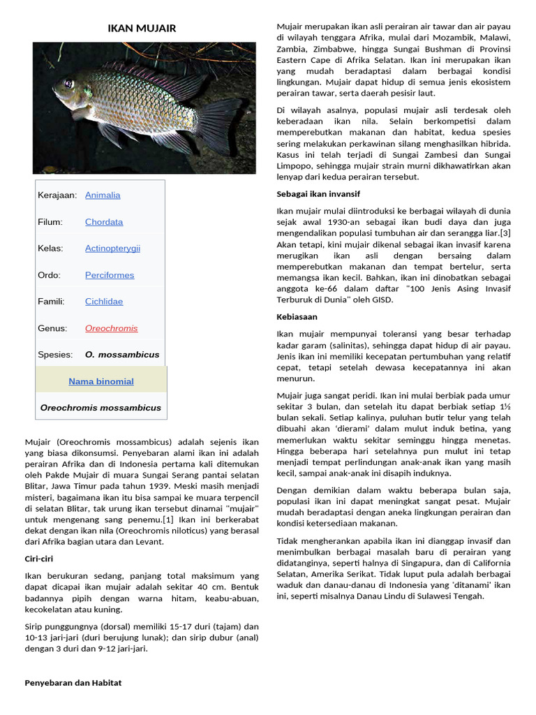 Ikan Mujair: Ciri dan Habitatnya | PDF