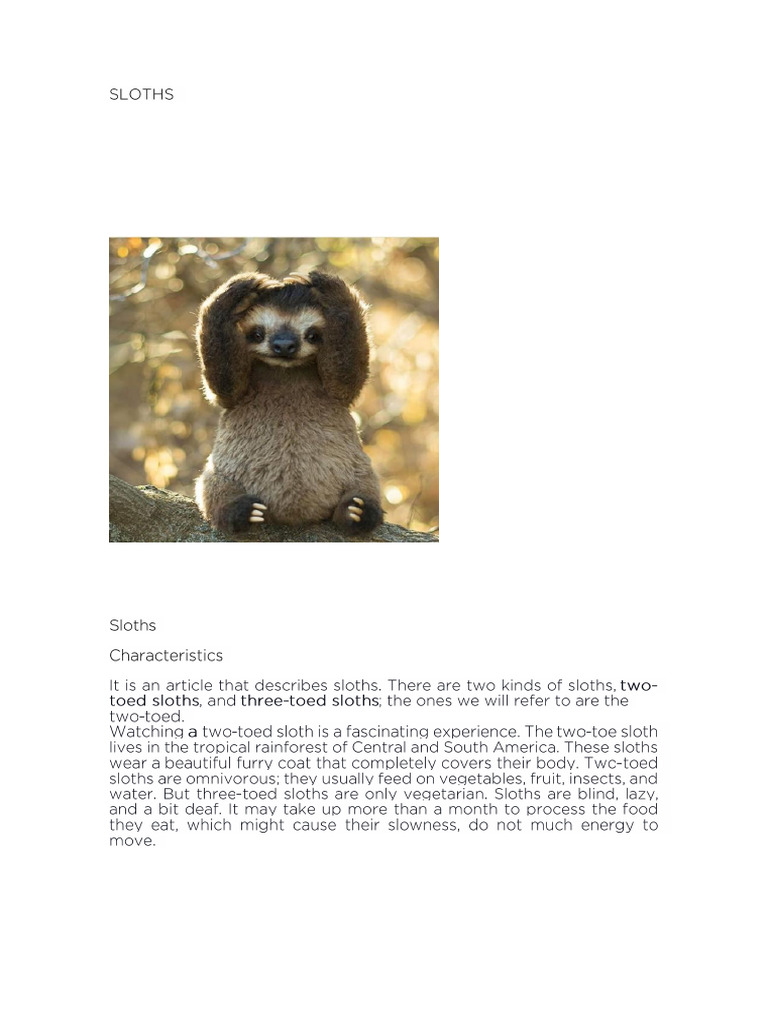 simple present sloths REMEDIAL | PDF