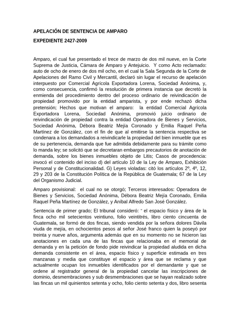 Analisis de Apelacion de Sentencia de Amparo | PDF | Debido al proceso | Apelación
