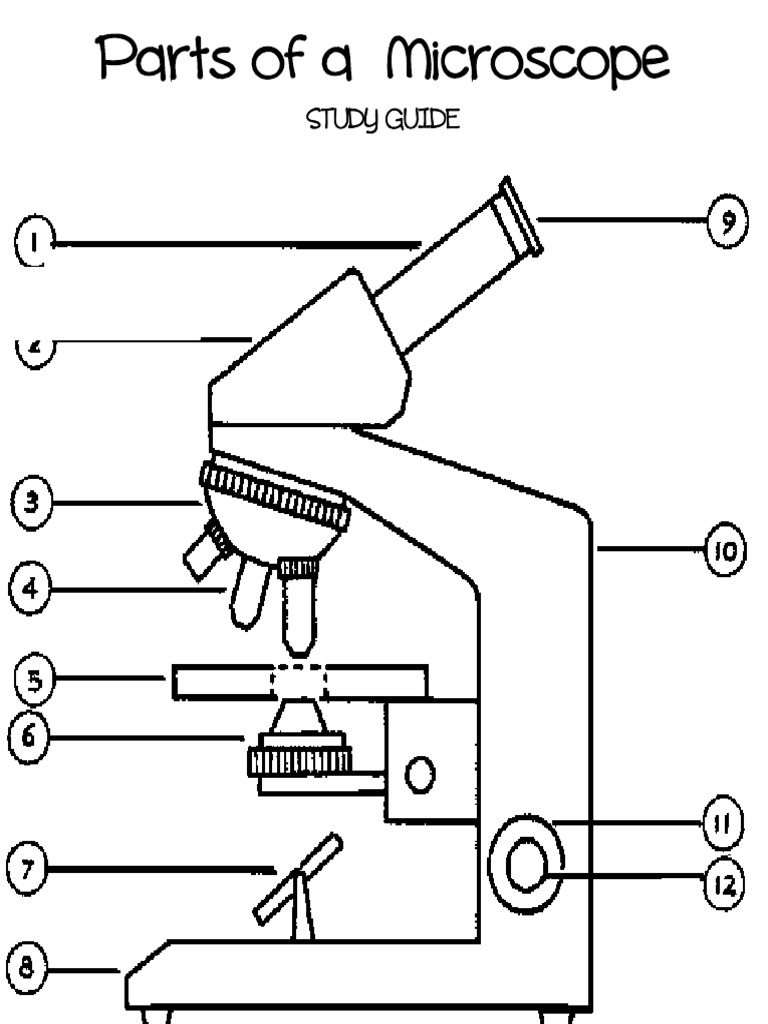 parts_of_a_microscope_study_guide | PDF