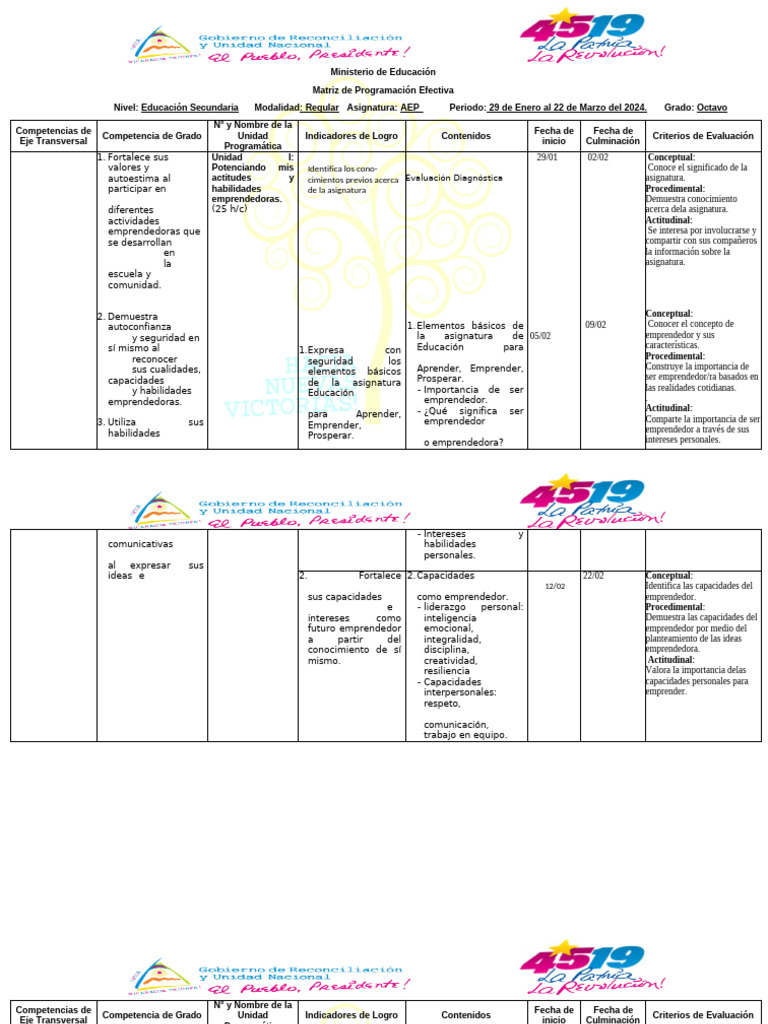 Matriz de Programación Efectiva AEP 8 Secundaria (Octavo Grado - 2024) | PDF | Iniciativa ...