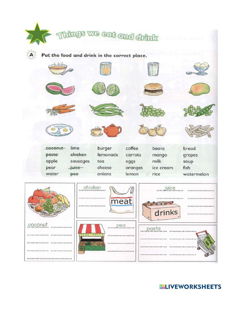 Food Revision | PDF