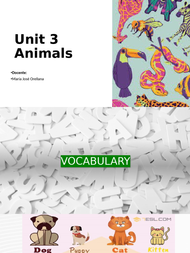 Animals Vocabulary and Grammar Guide | PDF